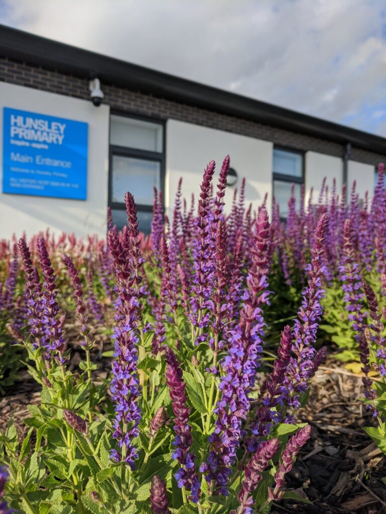 The Education Alliance